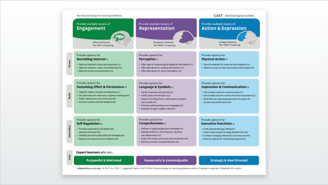 Home Books & Media Catalog UDL Guidelines 2.2 Poster